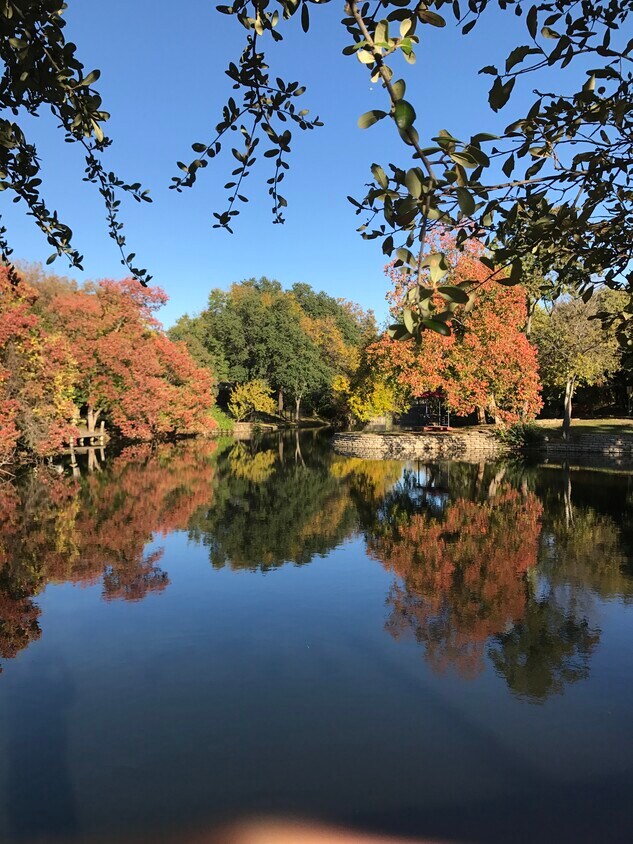 Lakeside on Spring Valley Apartments - 1000 W Spring Valley Rd ...