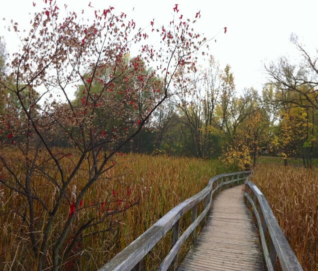 About Markham, ON: Guide to Living in Markham | Apartments.com