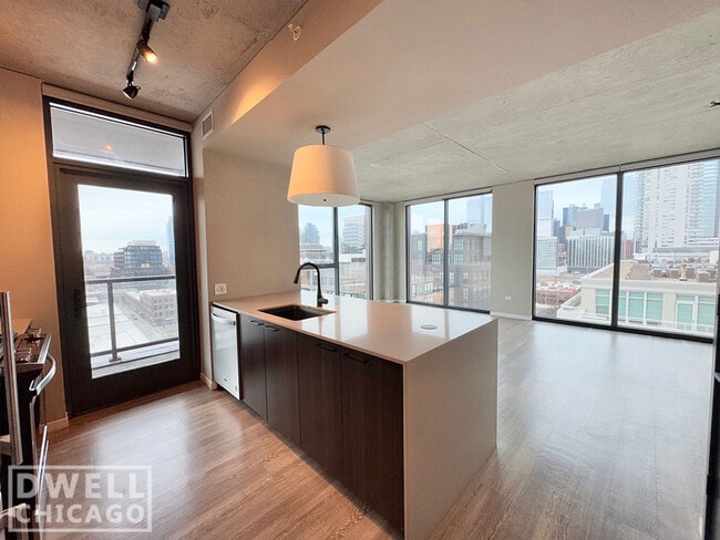 Downtown Chicago Apartments for Rent with a Balcony - Chicago, IL ...