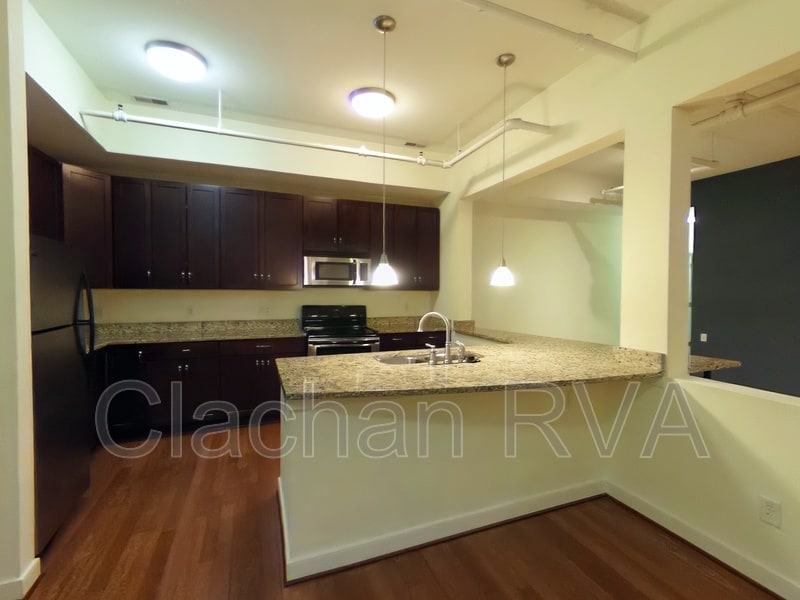 123 E Broad St Unit 2C, Richmond, VA 23219 - Condo for Rent in Richmond ...
