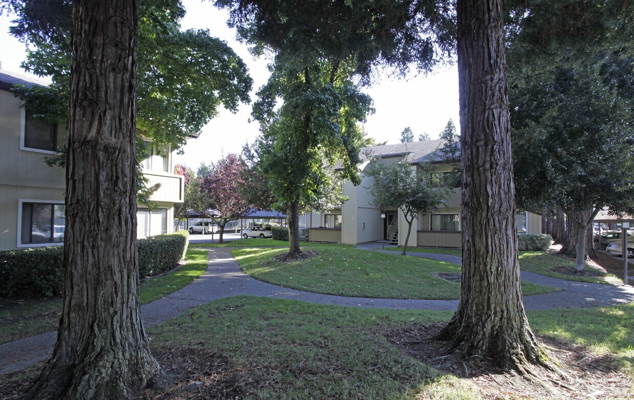 Park Ridge Apartments - Apartments in Rohnert Park, CA | Apartments.com