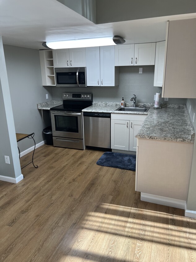 207 5th Ave SW, Rochester, MN 55902 - Condo for Rent in Rochester, MN ...