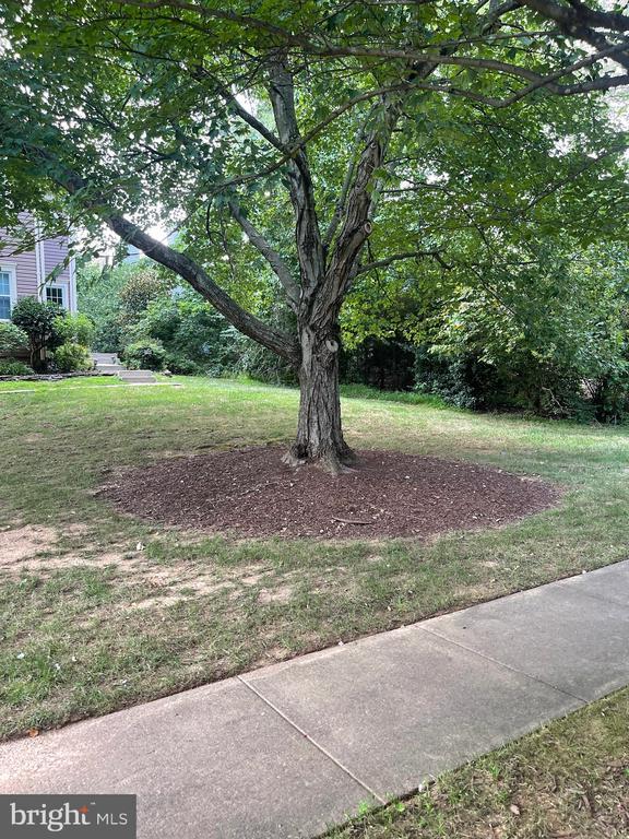 11974 Sentinel Point Ct, Reston, VA 20191 - Townhome Rentals in Reston ...