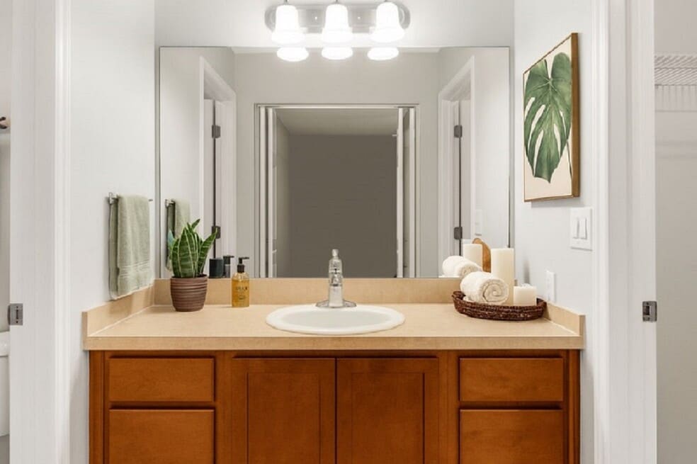 Apartments for Rent in Elfers FL - 65 Rentals | Apartments.com
