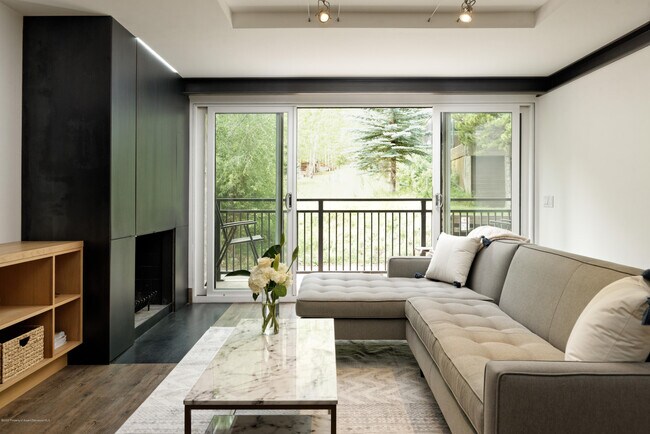 700 S Monarch St Unit 202, Aspen, CO 81611 - Condo for Rent in Aspen ...