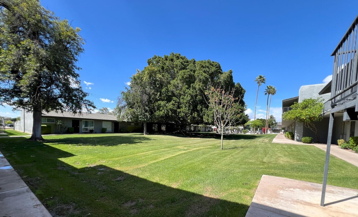 7141 N 16th St Unit 227, Phoenix, AZ 85020 - Condo for Rent in Phoenix ...