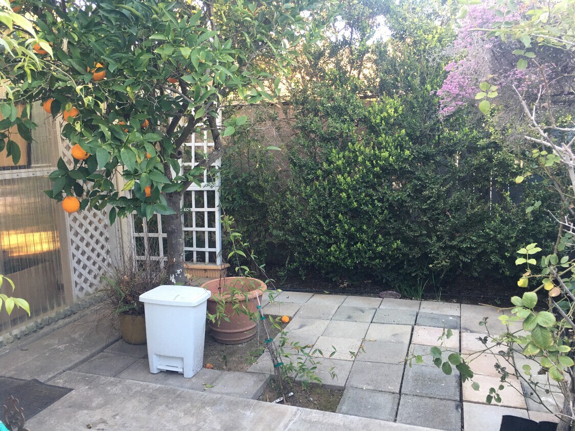 1149 Forest Ave, Ojai, CA 93023 - House Rental in Ojai, CA | Apartments.com