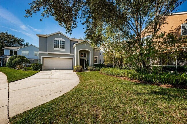 12033 Abbywood Ln, Tampa, FL 33626 - House Rental in Tampa, FL ...