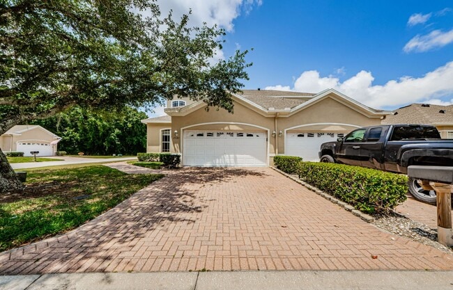 Apartments for Rent in Trinity FL - 118 Rentals | Apartments.com