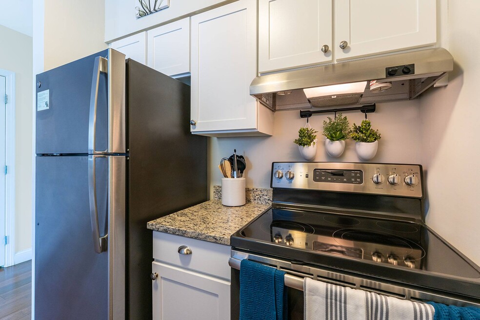 Apartments for Rent in Chelsea MA - 1,070 Rentals | Apartments.com