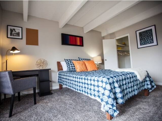 The Paramount Apartments - Denver, CO | Apartments.com