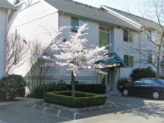 Lake Burien View - Apartments in Burien, WA | Apartments.com