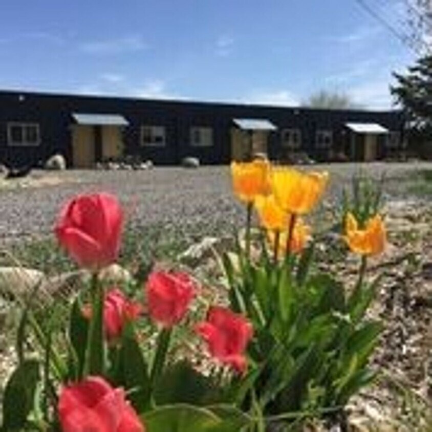 3001 W 4th St Unit 8, Reno, NV 89523 - Room for Rent in Reno, NV ...