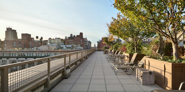 The Caroline Apartments - New York, NY | Apartments.com