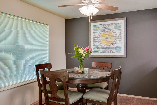 River Terrace Rentals - Eugene, OR | Apartments.com