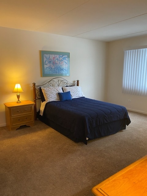 Towers of Edgewater - 5880-5940 Lake Bluff Dr Tinley Park, IL 60477 ...