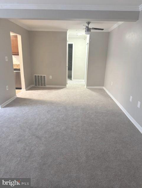 5606 Bloomfield Dr Unit 101, Alexandria, VA 22312 - Room for Rent in ...