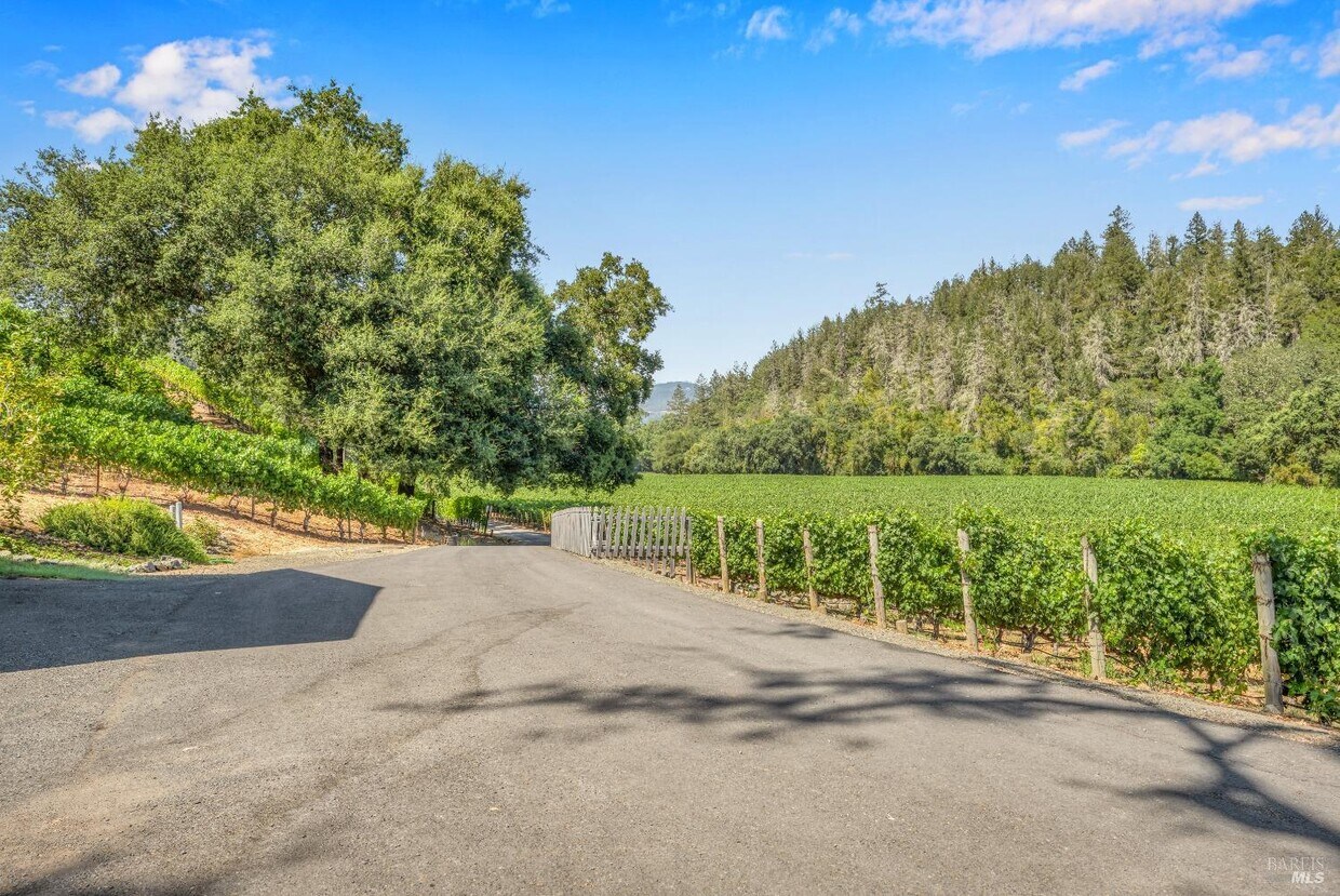 1623 Whitehall Ln, St. Helena, CA 94574 - House Rental in St. Helena ...