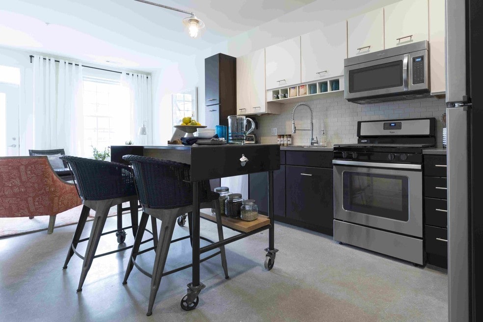 Apartments for Rent in East Rock, New Haven - 151 Rentals | Apartments.com