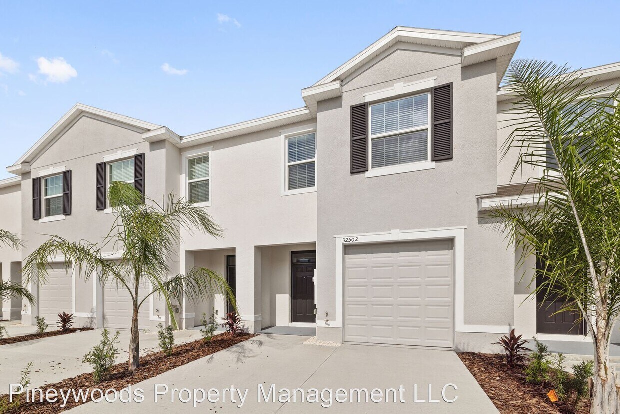 32502 Turtle Grace Lp, Wesley Chapel, FL 33545 - House Rental in Wesley ...