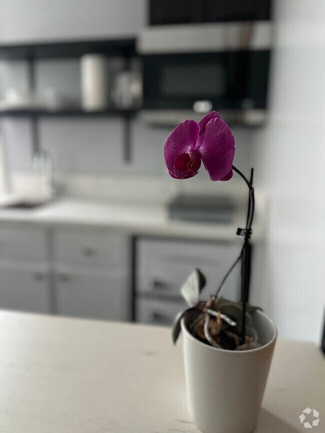 Best Luxury West Side Signal Hill Apartments for Rent - Signal Hill, CA ...