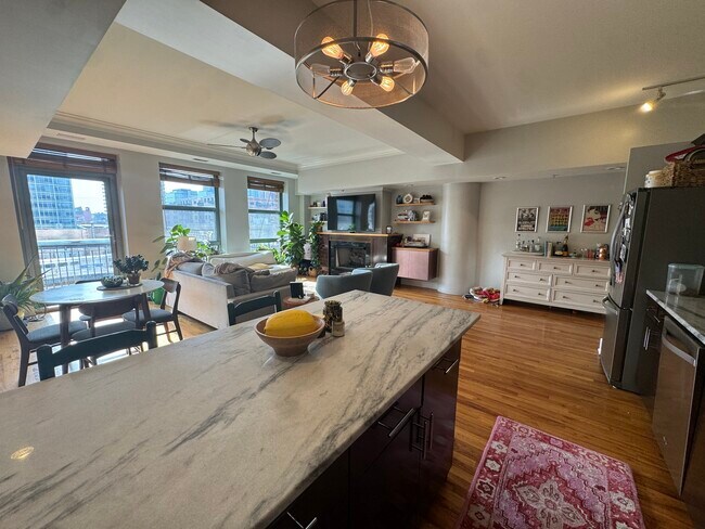 163 N Canal St Unit 506, Chicago, IL 60606 - Condo for Rent in Chicago ...