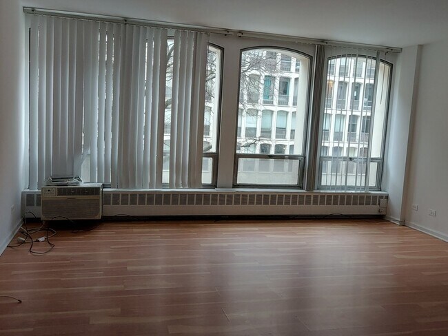 1451 E 55th St Unit 318N, Chicago, IL 60615 - Condo for Rent in Chicago ...