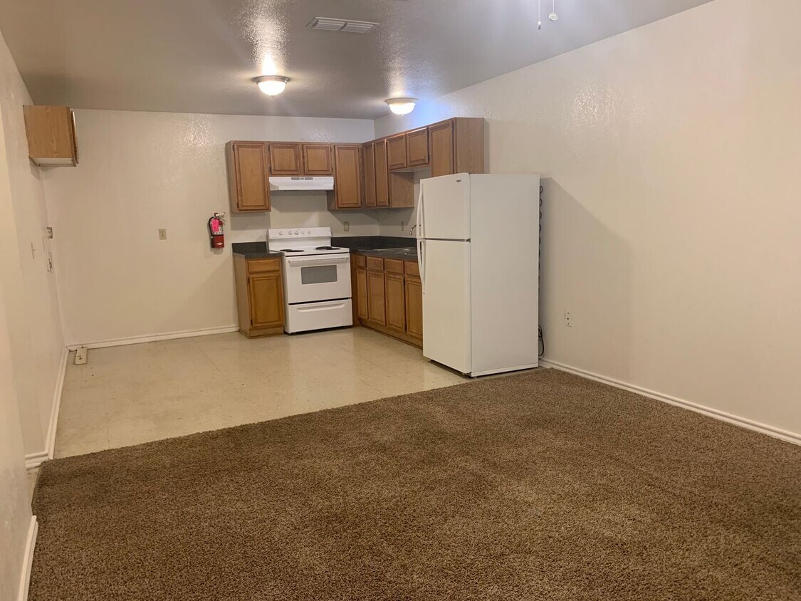 1110 Williams Ave Unit E, Cleburne, TX 76033 - Room for Rent in ...