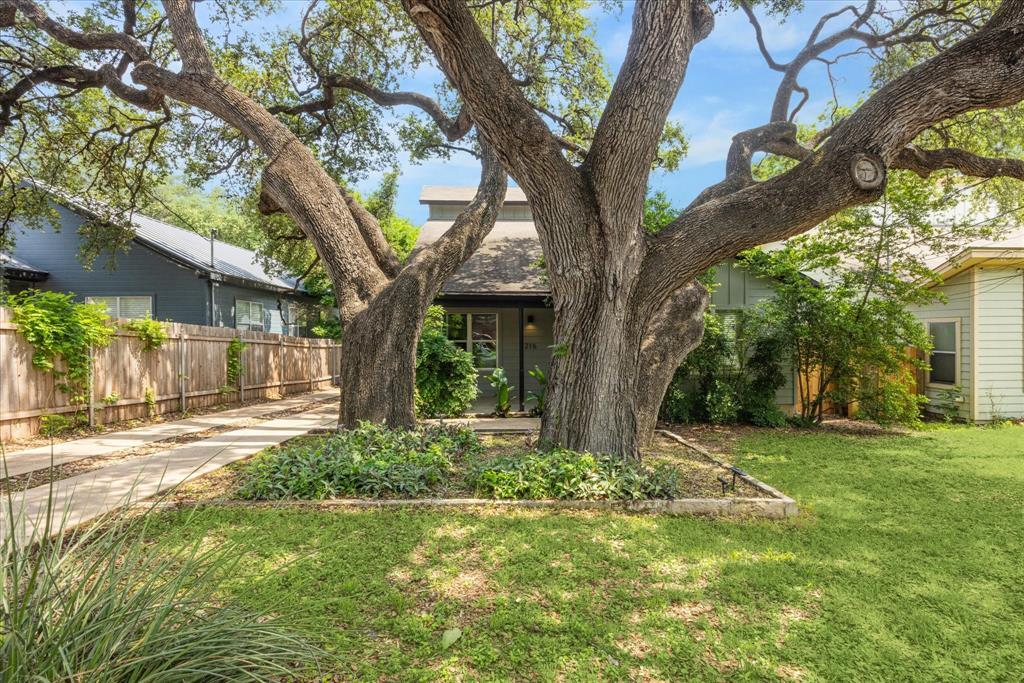 216 Lessin Ln, Austin, TX 78704 - House Rental in Austin, TX ...
