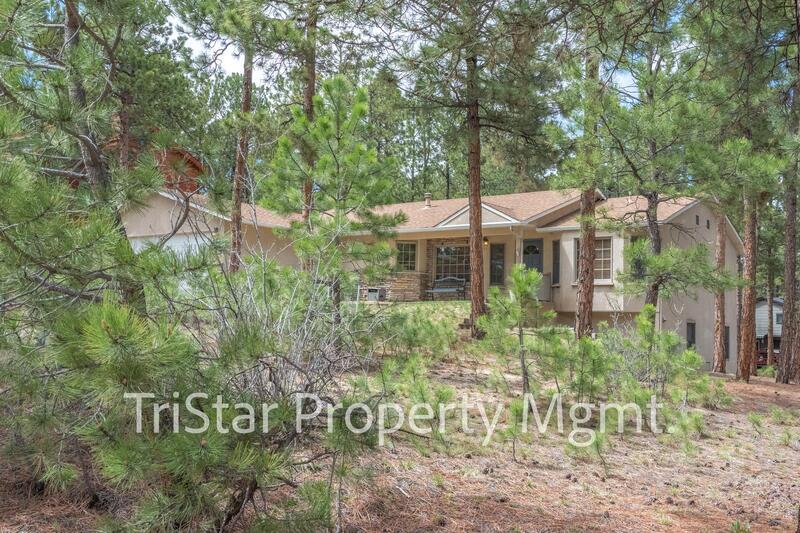 1370 Stella Dr, Colorado Springs, CO 80921 - House Rental in Colorado ...