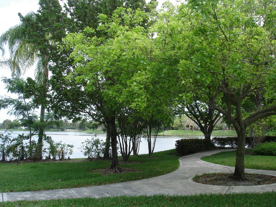 Palms Point - 11775 W Atlantic Blvd Coral Springs, FL 33071 ...