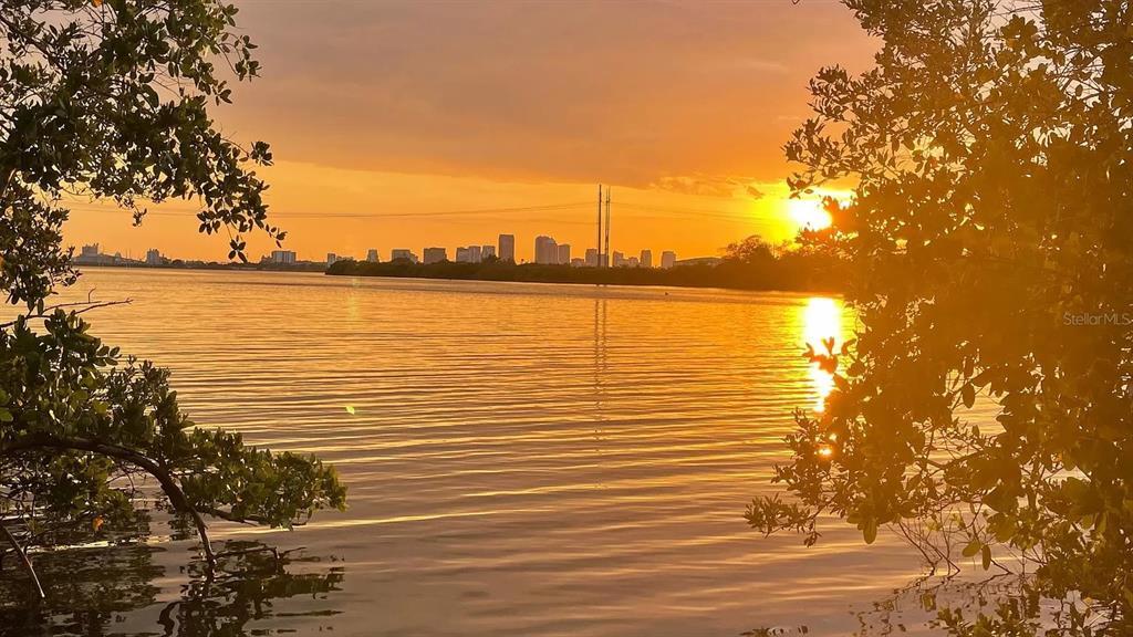 4767 Tuscan Loon Dr, Tampa, FL 33619 - Townhome Rentals in Tampa FL ...