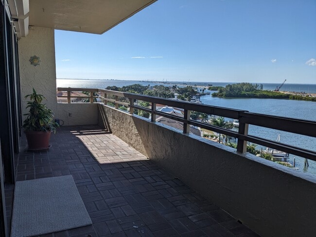5701 Mariner St Unit 802, Tampa, FL 33609 - Condo for Rent in Tampa, FL ...