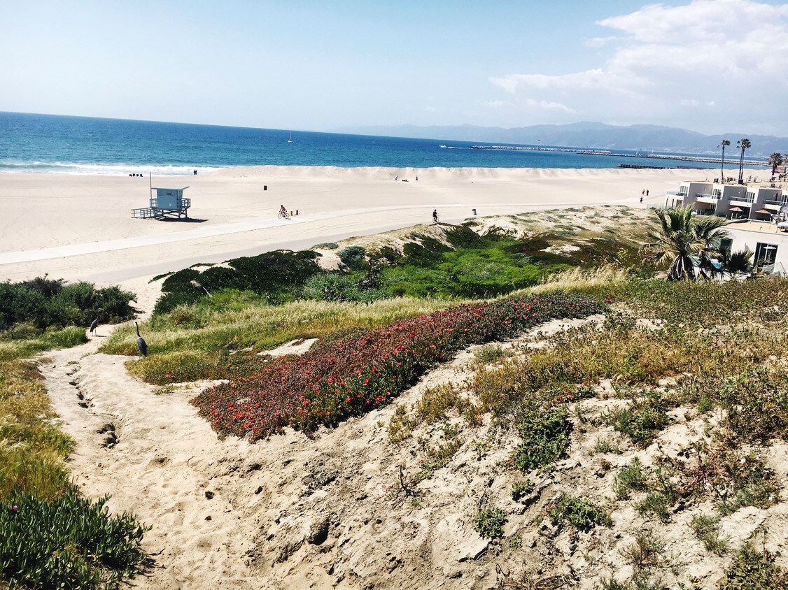 234 Rees St Unit 2, Playa Del Rey, CA 90293 - 234 Rees St Playa Del Rey ...