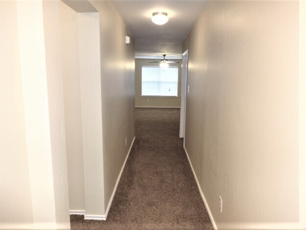 815 Indian Meadow Drive - House Rental in Georgetown, TX | Apartments.com