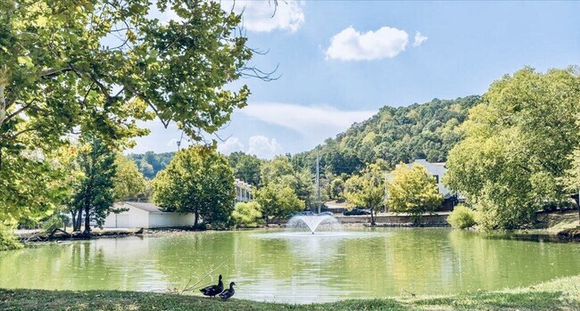 Signal View Apartments for Rent with Hardwood Floors - Chattanooga, TN ...