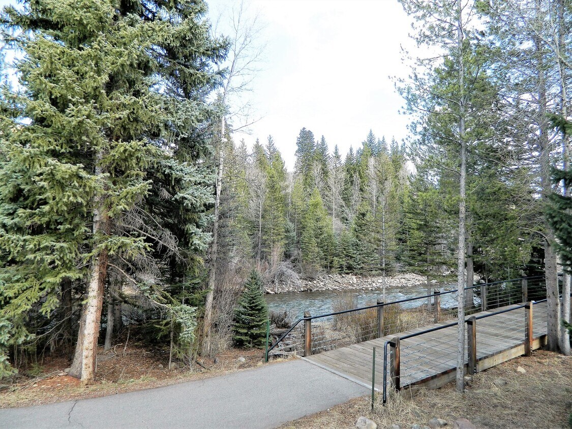 192 Robin Dr, Silverthorne, CO 80498 - Townhome Rentals in Silverthorne ...