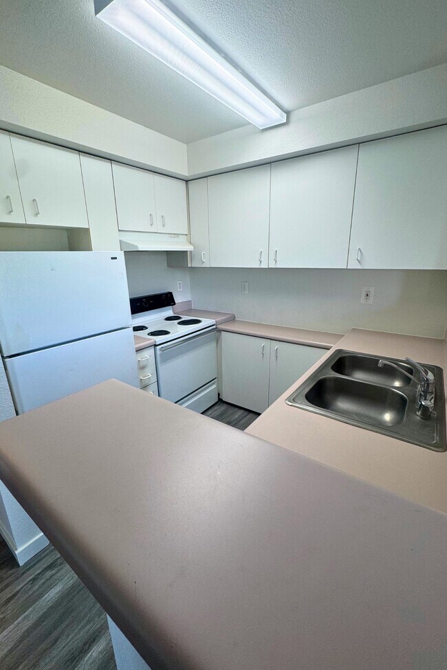 Pullman Reaneys Apartments for Rent with a Walk-In Closet - Pullman, WA ...