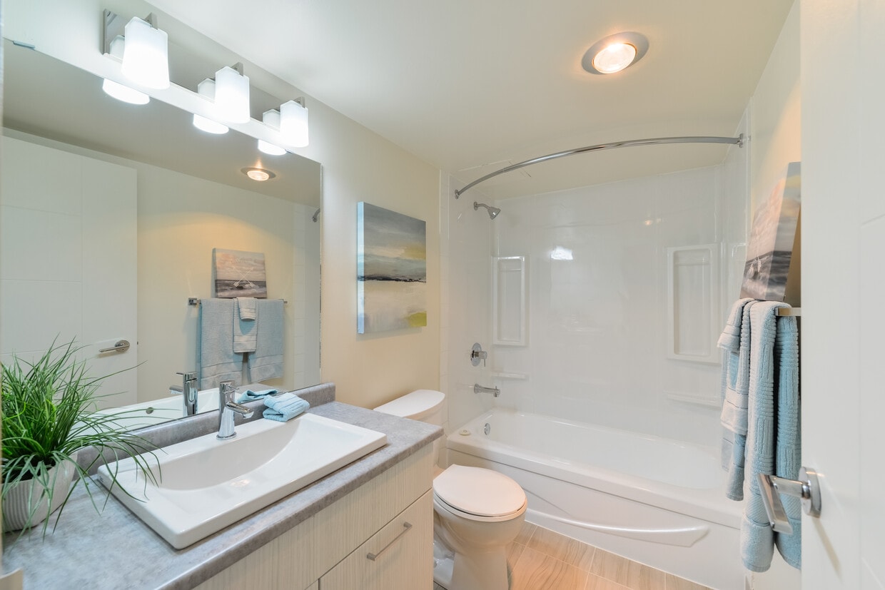 Whitehall Square Apartments - 15503 87th Ave Nw Edmonton, AB ...