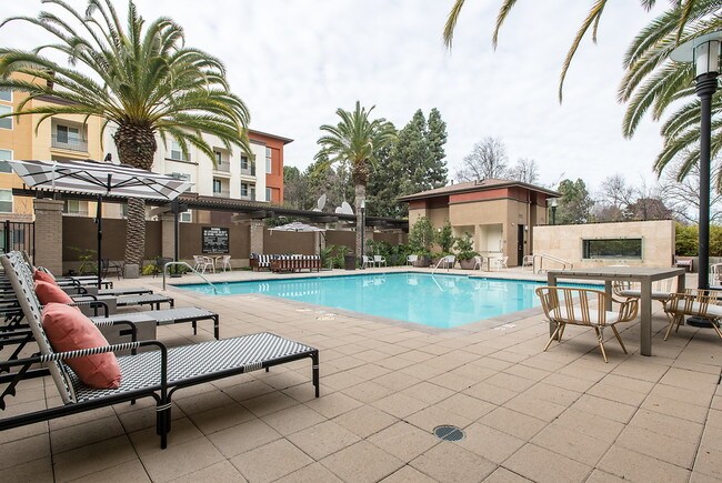 Paragon Apartments - Fremont, CA | Apartments.com