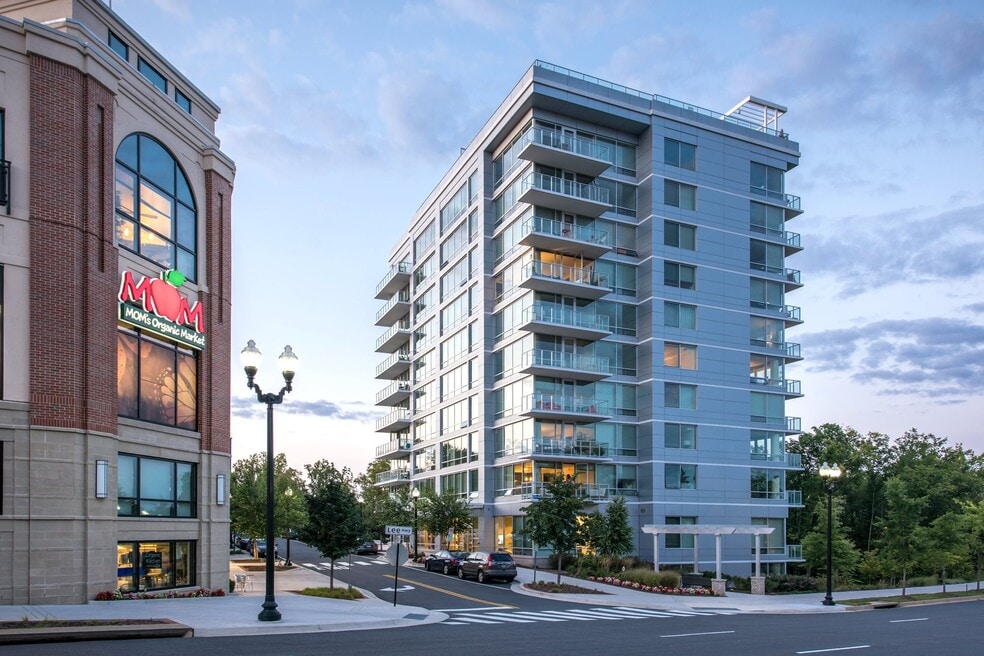 Apartments For Rent Near American University - Washington, DC