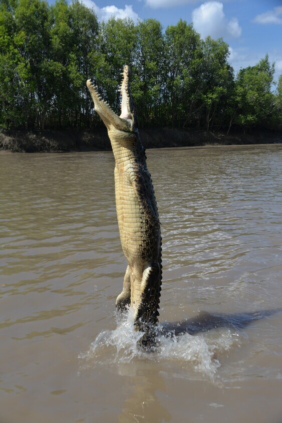 6019 Lyndell Spring, San Antonio, TX 78244 - House Rental in San ...