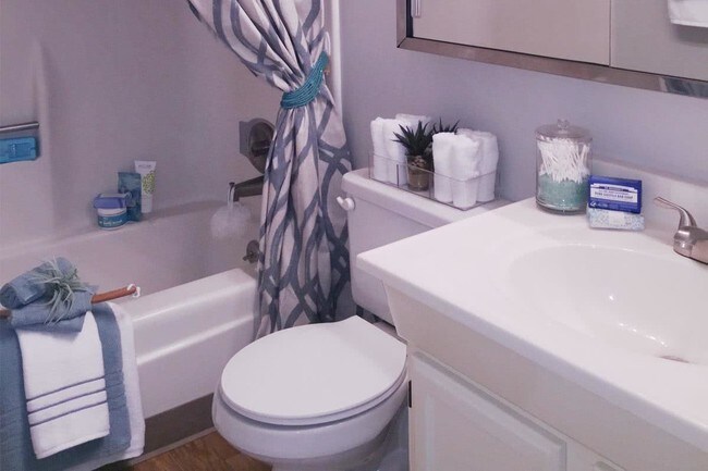 Alpine Commons Rentals - Amherst, MA | Apartments.com