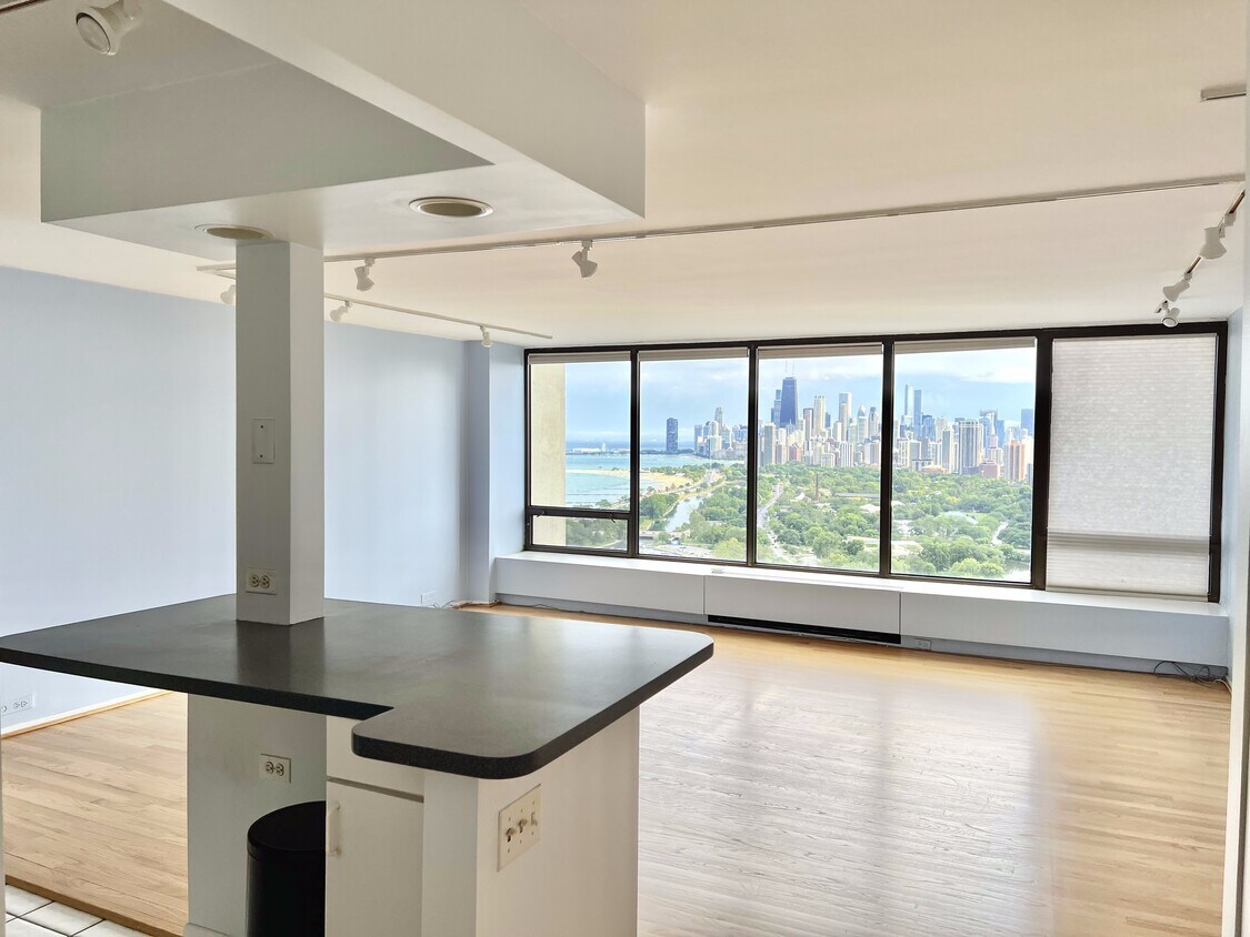 2800 N Lake Shore Dr Unit 3506, Chicago, IL 60657 - Condo for Rent in ...