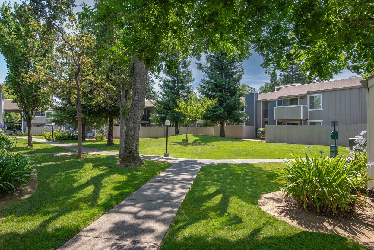 Willow Grove Apartments Sacramento