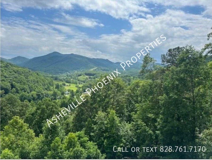 74 Ebens Cove Unit 74 Ebens Cove, Barnardsville, NC 28709 - Room for ...