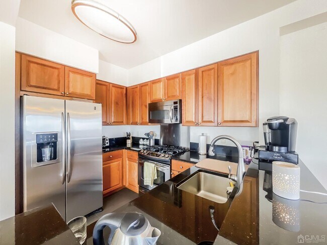 1 Spring St Unit 1602, New Brunswick, NJ 08901 - Condo for Rent in New ...