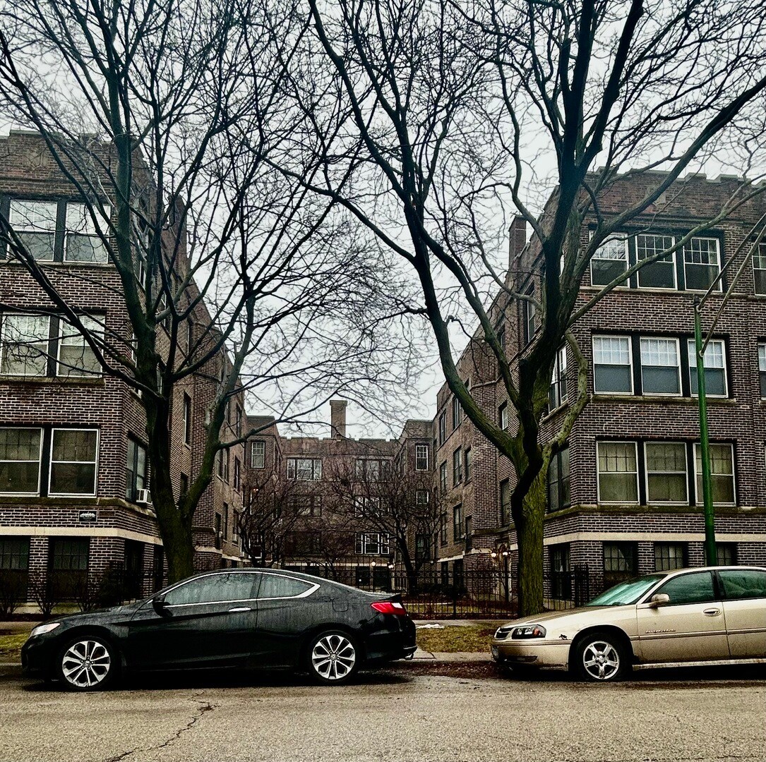 5335 S Cornell Ave Unit 3, Chicago, IL 60615 - Condo for Rent in ...