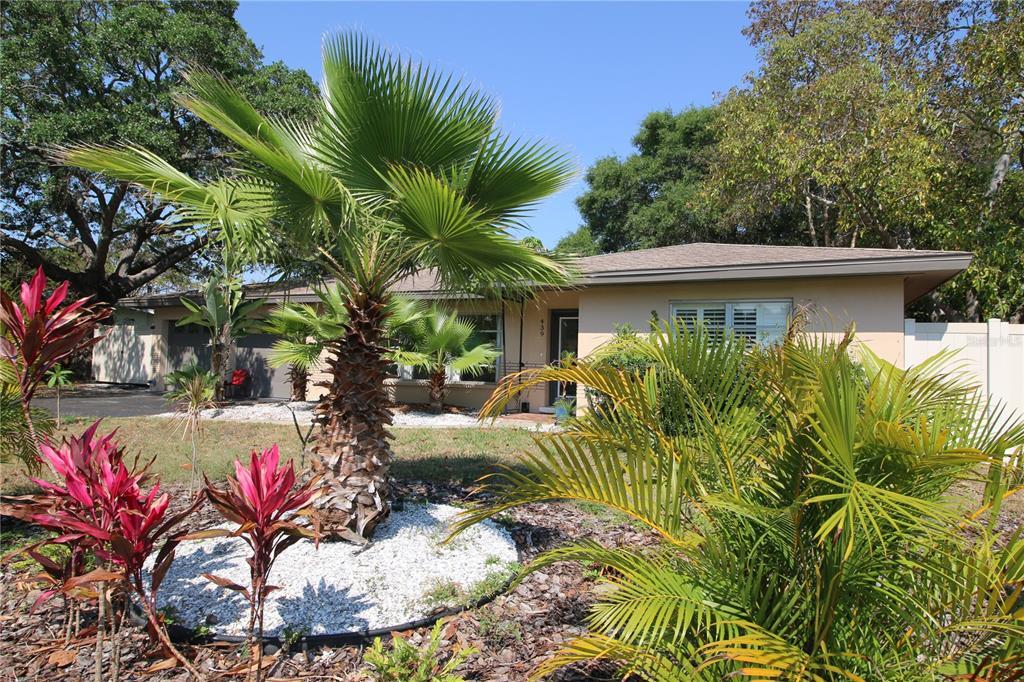 439 W Overbrook St, Belleair Bluffs, FL 33770 - House Rental in ...