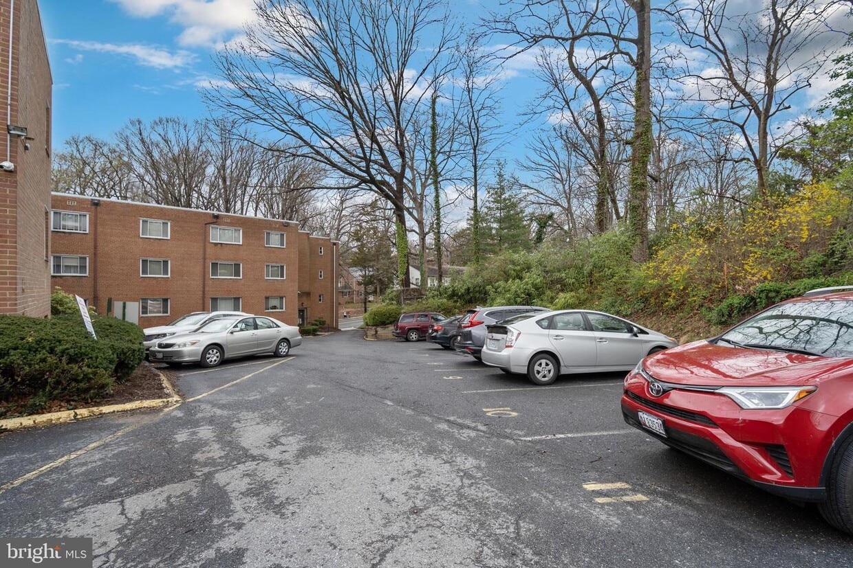 95 E Wayne Ave Unit 101, Silver Spring, MD 20901 - Room for Rent in ...